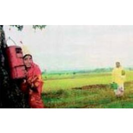 Still from the film Uttara
