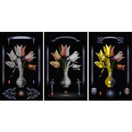 RED PILL- BLUE PILL (ELIXIR FOR BOSSCHAERT)-01