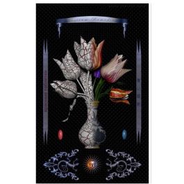 Red Pill- Blue pill (Elixir for Bosschaert)